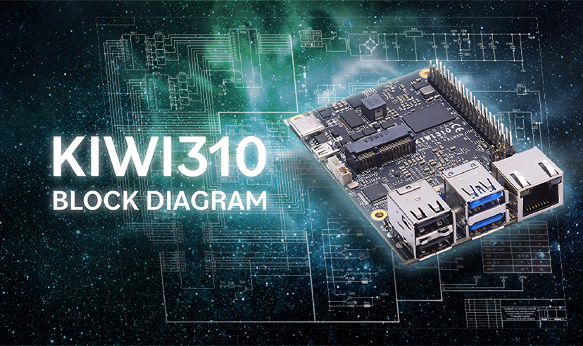 KIWI310 Block Diagram
